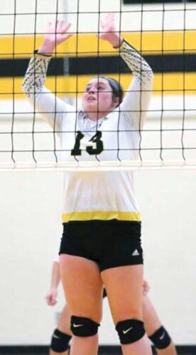Powell leads IM all-conference selections | News, Sports, Jobs - The ...